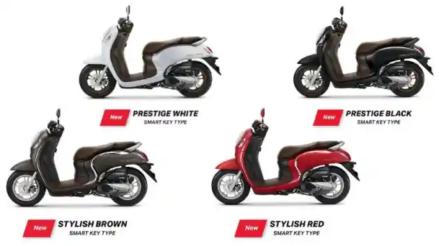 Ragam Pilihan Warna Lengkap All New Honda Scoopy, Ada Apa Saja?